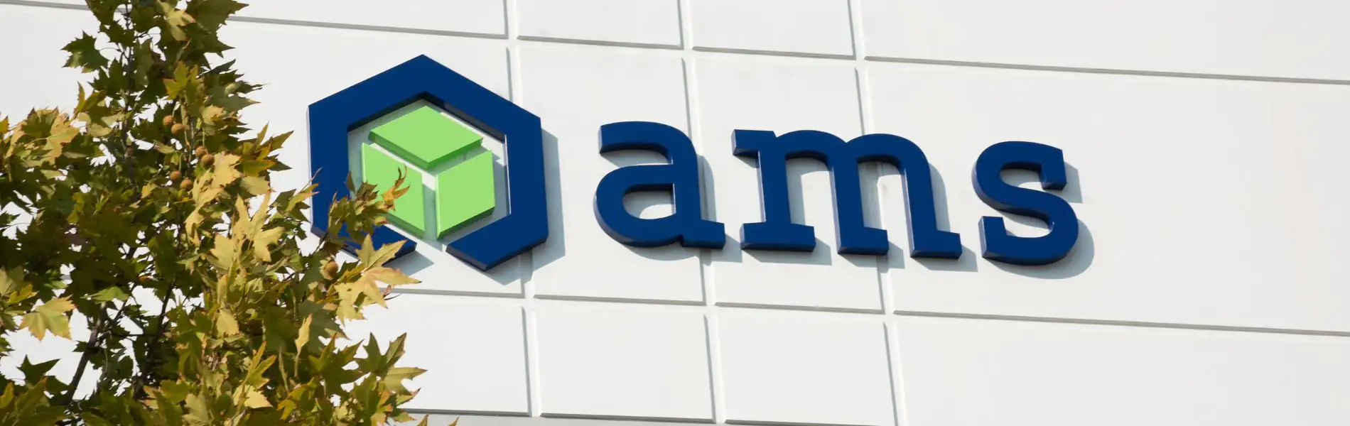 Order Fulfillment Services for eCommerce & B2B | AMS Fulfillment